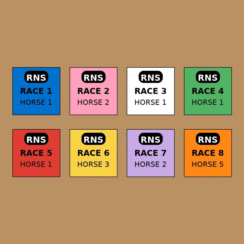 What Is a Race Night? Fun Fundraising Ideas Explained